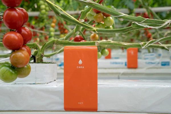 SenseNL Substrate Sensors – Growhaus Supply