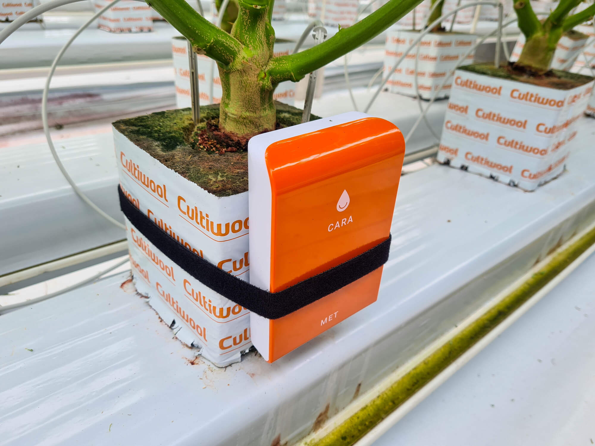 CARA MET CUBE – Growhaus Supply